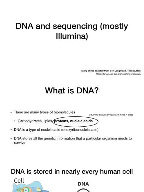 1 dna sequencing pdf dna sequencing genetics
