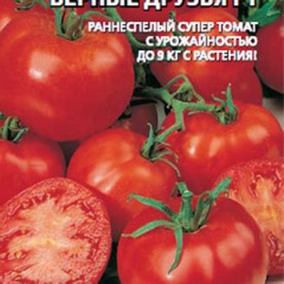 Томат Верные друзья: описание сорта помидоров, характеристики ...