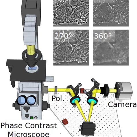 Modified Vgg16 Network Input Image Size Is 256 × 256 ×3 A Pad Of Download Scientific Diagram