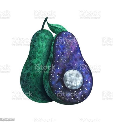 달의 형태로 공간과 돌 아보카도 이국적인 과일의 수채화 그림 흰색 배경에 컴포지션이 있는 세련되고 추상적인 프린트 비건 식품 건강 성분 건강 식품 수채화에 대한 스톡 벡터