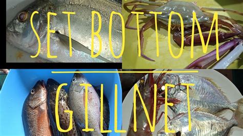 Set Gillnet L Taan L Islandridertv Youtube