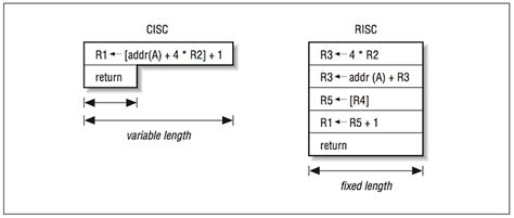 ¿qué Significan Risc Y Cisc En 2020