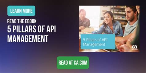 Api Management 101 Api Management Basics Api Design And Strategy