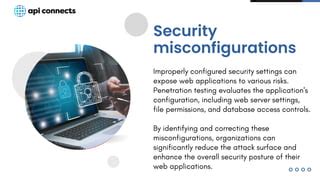 Web Application Risks Revealed By Penetration Testing PDF