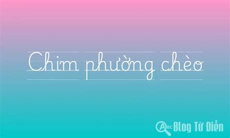 Danh Từ Chim Phường Chèo Là Gì Từ đồng Nghĩa Trái Nghĩa Từ Điển