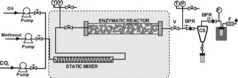 Set Up Of The Continuous Enzymatic Reactor For Biodiesel Synthesis Download Scientific Diagram