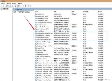虚拟机无法访问外网解决办法【详细】 虚拟网卡无网络访问权限 csdn博客