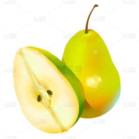 手绘水果插画素材 梨