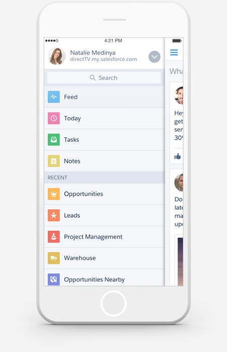Learn About Salesforce1 Features And App Functionality
