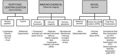 Classification Of Stem Cell Isolation Methods Adapted With Permission