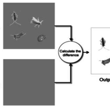 PDF Pest Detection And Extraction Using Image Processing Techniques