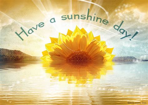 Sunshine Day