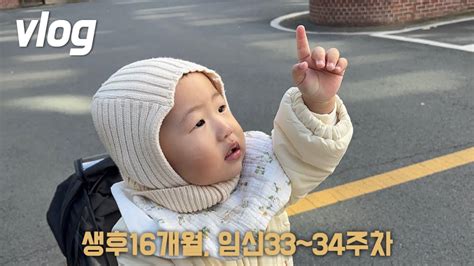 Vlog 임신16개월 임신33~34주차 11월 브이로그 Youtube