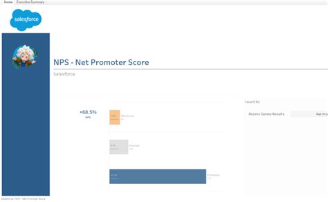 Workbook Survey Nps Net Promoter Score