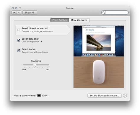 macos disable inverted scrolling using mighty mouse ask different
