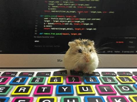 Building Ai Powered Apps With Nextjs In 2025 By Codew Medium