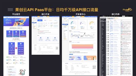 企业级接口管理平台 接口开放平台 接口收费 免费软件演示 接口大师 5合1 phalapi专业版 yesapipro php java源码