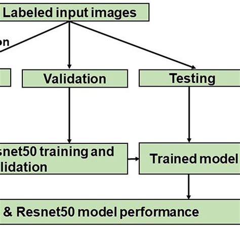 flowchart showing labeling of each image for weeds and crops species download scientific
