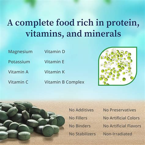Nutrient Dense Chlorella Vulgaris A Superfood For Metabolism Detox