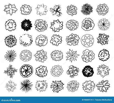 Trees Bushes And Shrubs Top View For Landscape Design Plan Stock Vector Illustration Of