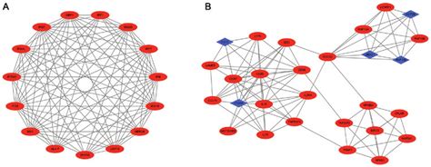 Top 2 Modules From The Protein Protein Network According To The Download Scientific Diagram