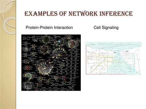 ppt network inference from repeated observations of node sets