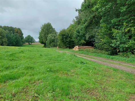 Wald Bei Ebersbach Diskreter Outdoor Sex Im Naturschönheiten