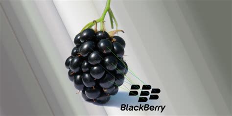 How To Add Install Input Languages On Blackberry Devices Michael