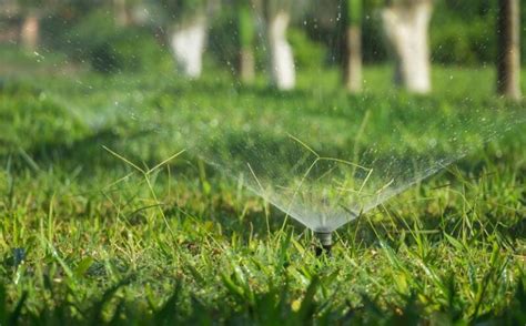 Types Of Sprinklers For Your Lawn And Garden