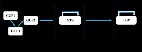 Garbage Collection And Transportation Process Download Scientific Diagram