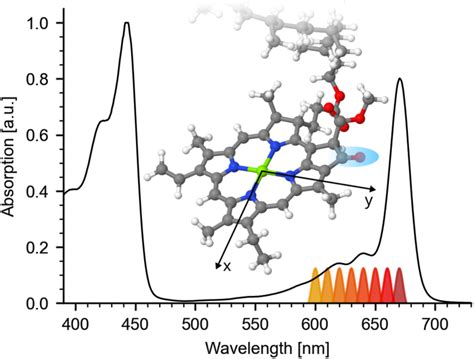 Visible Steady State Absorption Of Hexa Coordinated Chl A In Pyridine