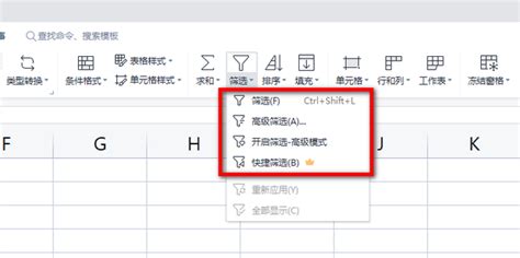 Excel表格怎么筛选 360新知