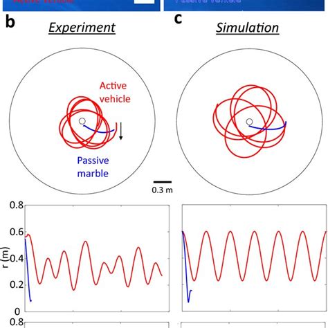 Trajectories Of Active And Passive Objects On An Elastic Membrane A