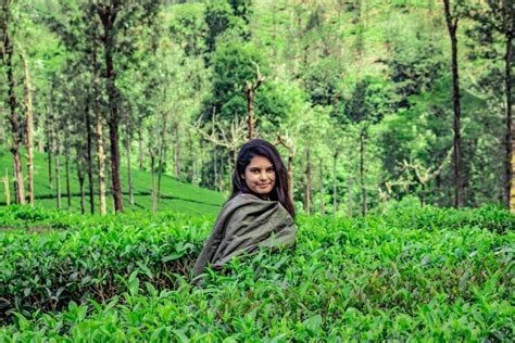 A Day In Munnar Nature Culture And Local Flavor