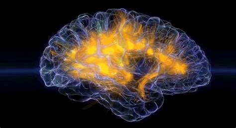 Cómo Los Científicos Quieren Impedir Que Te Puedan Hackear El Cerebro