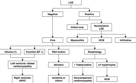 Practical Guide To Evaluating Myocardial Disease By Cardiac Mri Ajr
