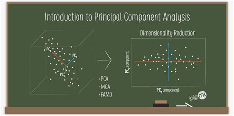 Apa Itu Principal Component Analysis Frankkruwolsen