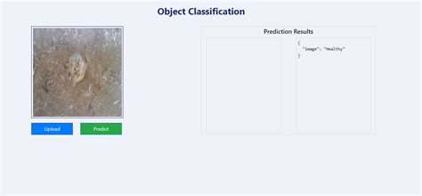 Github Mazenasagchickendeseaseclassification 🐔 Chicken Disease