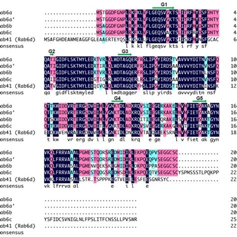 The Multiple Sequence Alignment Was Performed With DNAMAN Sequence Download Scientific Diagram