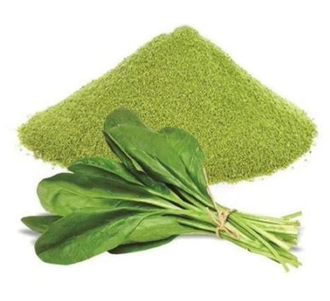 Organic Green Spinach Leaf Extract Age Group For Adults At Best Price In Shahdol Jeetendra And Co