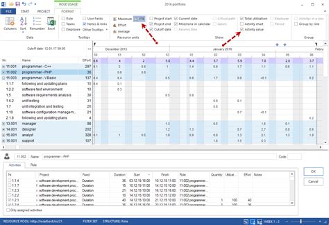 Role Usage And Fte — Rillsoft Project 9 Documentation