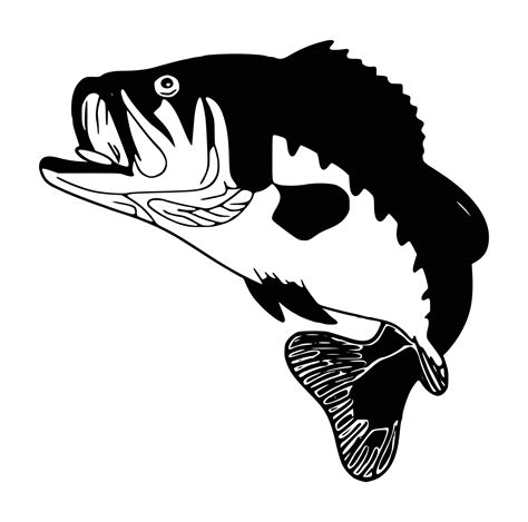 Black And White Of Largemouth Bass Fish 27605617 Vector Art At Vecteezy