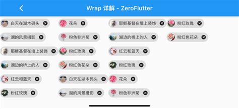 Flutter 中 Wrap 的使用详解（含对比图） Flutter Widgets Infoq 写作平台
