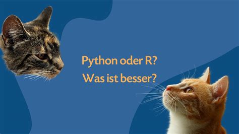 Python Oder R Was Ist Besser Ki And Data Science Für Anfängerinnen