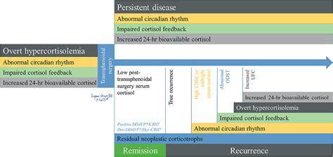 Frontiers Hypercortisolemia Recurrence In Cushings Disease A