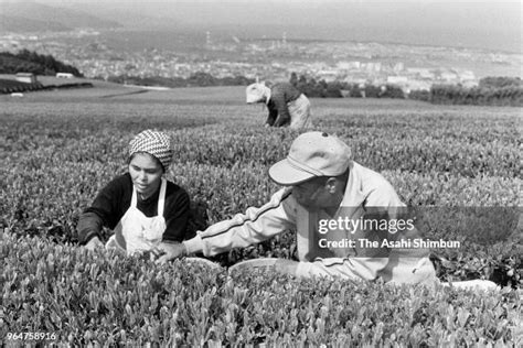 Shimizu Shizuoka Photos And Premium High Res Pictures Getty Images