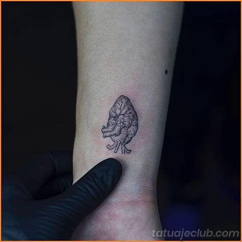 Mu Eca De Hombre De Tatuajes Tatuajes De Mu Eca Para Hombre Tatuajeclub Com