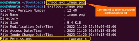File Information And Metadata Linuxsimply