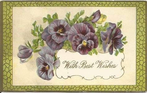 Antique Postcard Pansies Pansy Flowers With By Postcardsintheattic 6