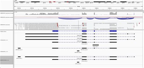 Transcriptome Assembly With Star Or Hisat · Issue 158 · Gpertea